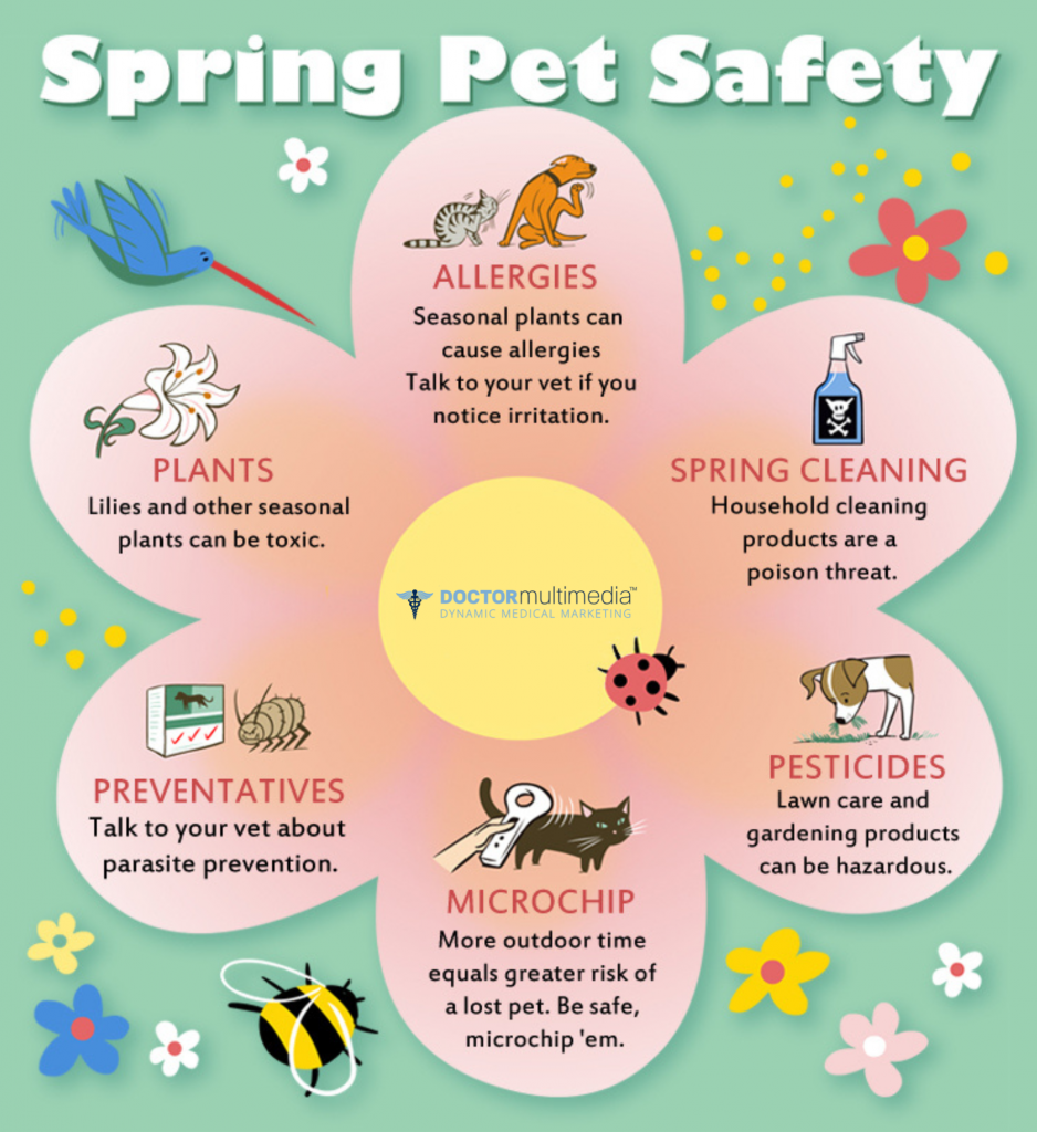 Spring Pet Care Safety | Pet Cure Veterinary Center